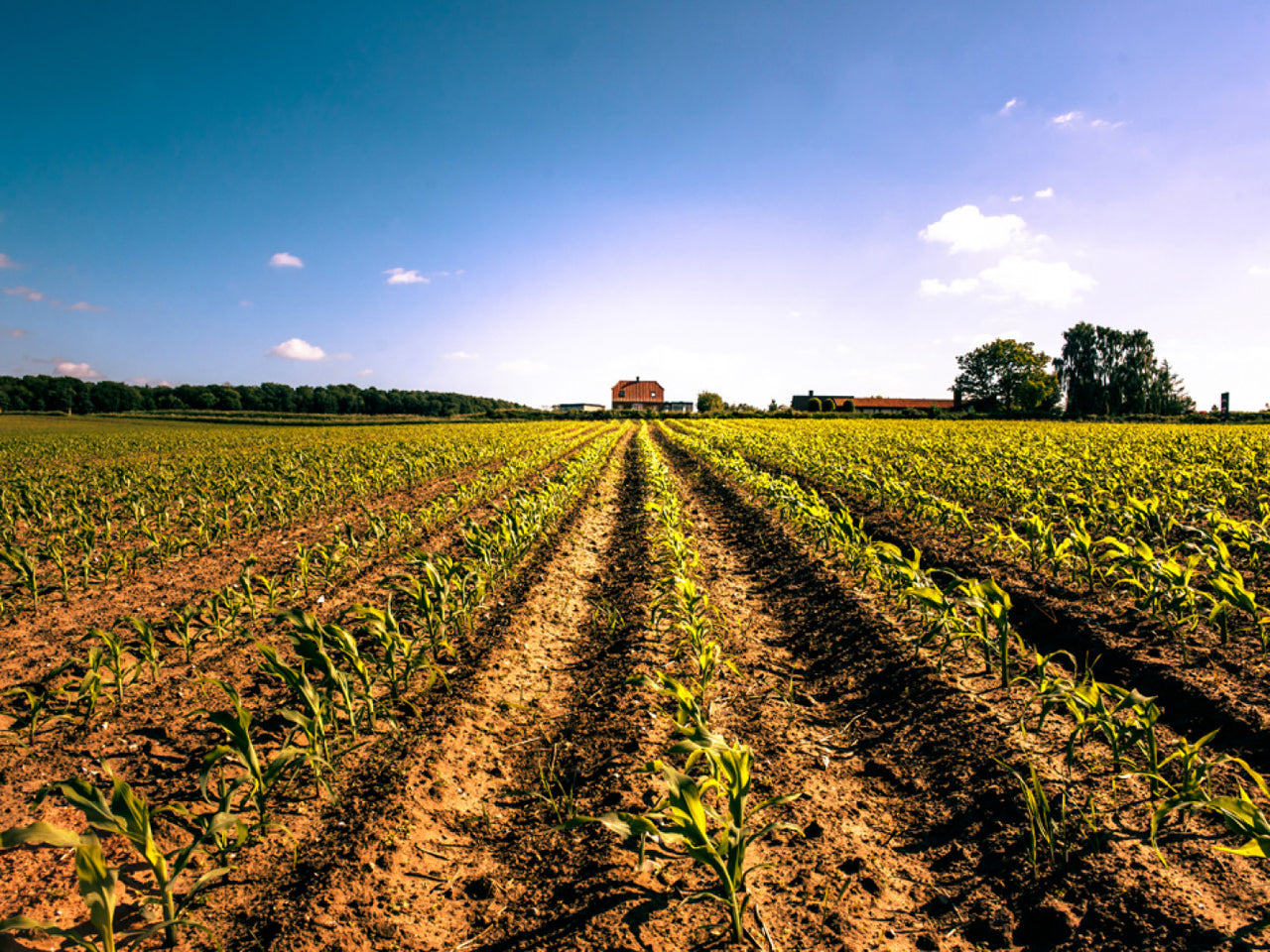 Patriot Foods | 100% U.S.-Grown Farm Fresh Meats, Produce & More ...